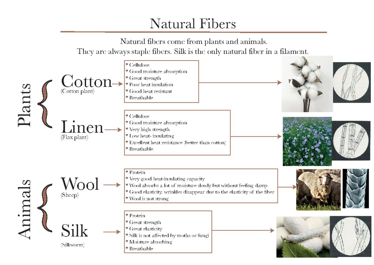 Textiel grondstoffen - Natural Fibers Plants } Animals } Cotton Natural ...