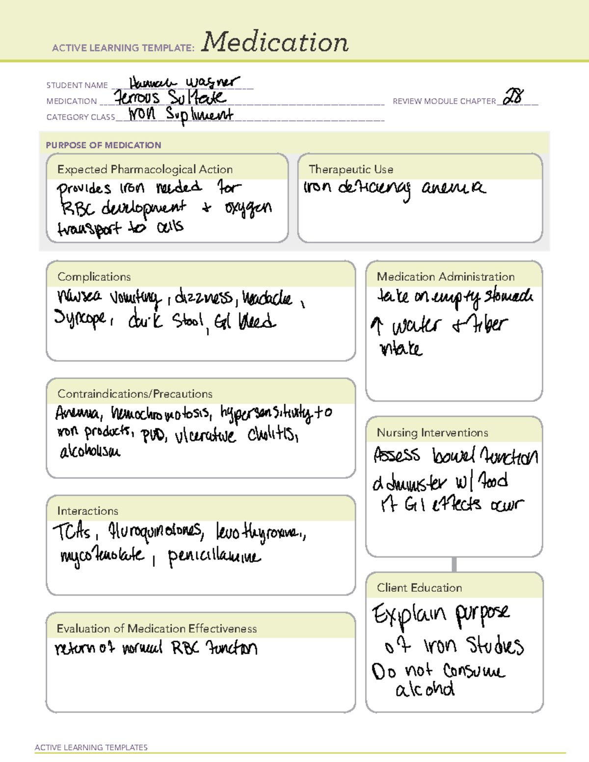 ATI iron - Summary Mdc III - ACTIVE LEARNING TEMPLATES Medication ...