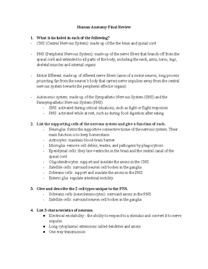 Cat Muscles - Shoulder Muscles Superficial Group scapular spine ...