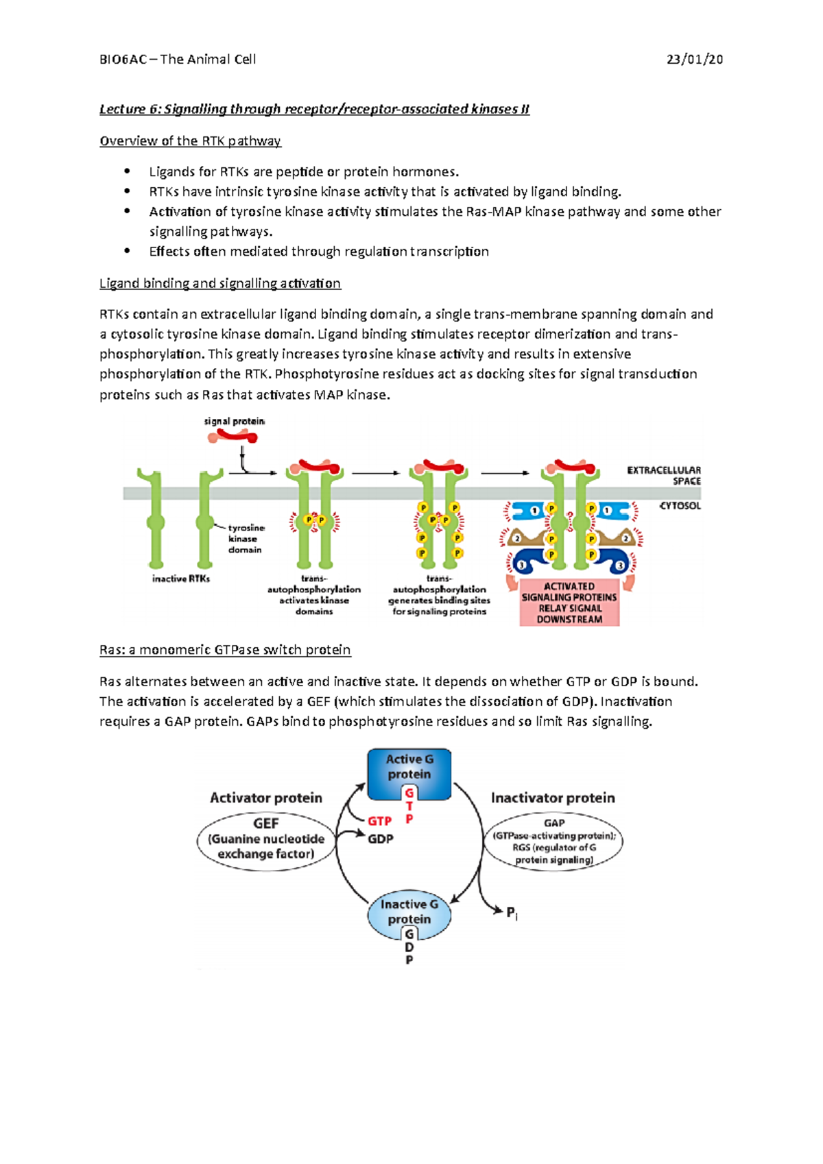 Lecture 6 - Lecture 6: Signalling through receptor/receptor-associated ...