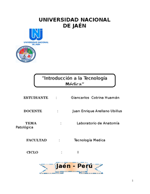 Harkens Summary - tffd fgg - Specialists. Medical following the Kuma ...