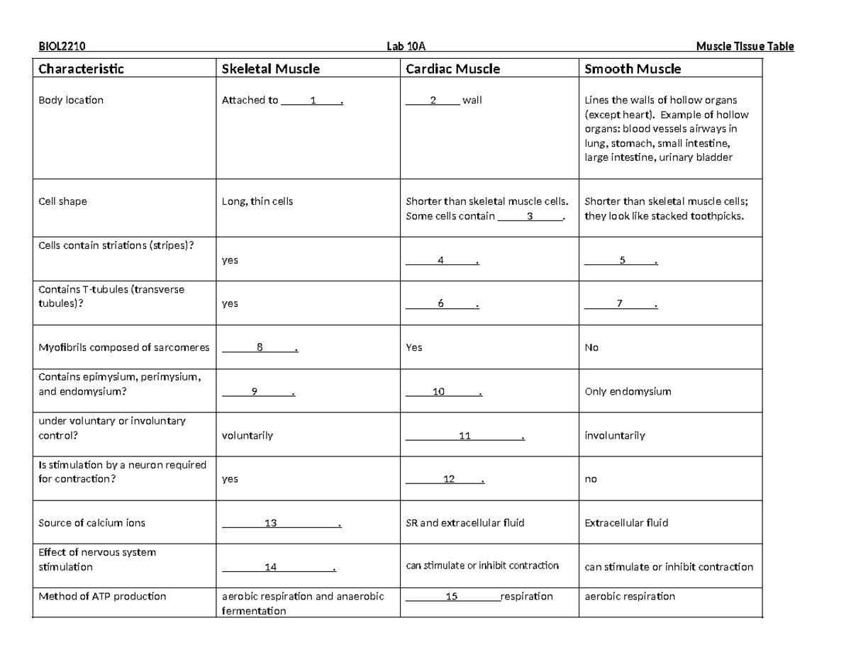 Lab 10A Muscle Types Table - empty - BIOL2210 Lab 10A Muscle Tissue ...