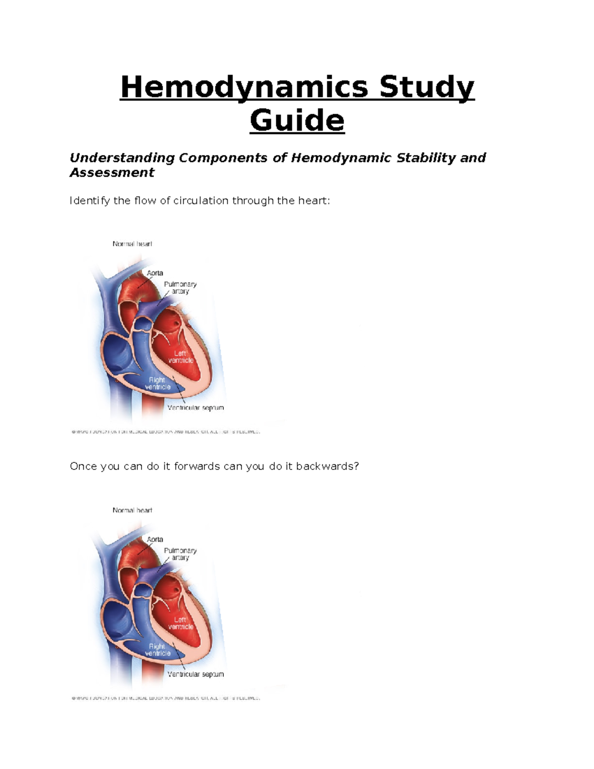 Hemodynamics Study Guide - Hemodynamics Study Guide Understanding ...