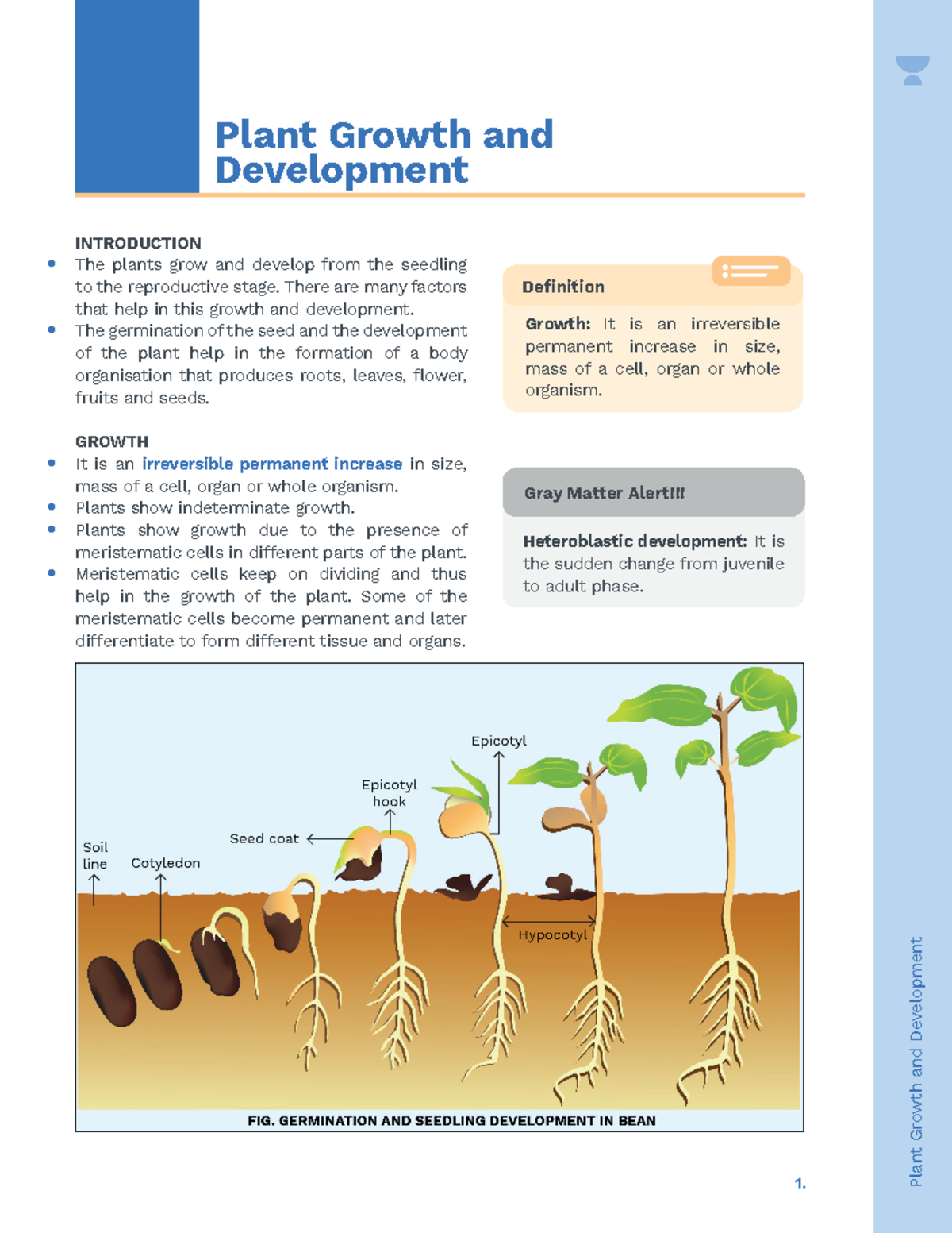 Plant-Growth-and-Development- Plant Growth and Development Plant Growth ...