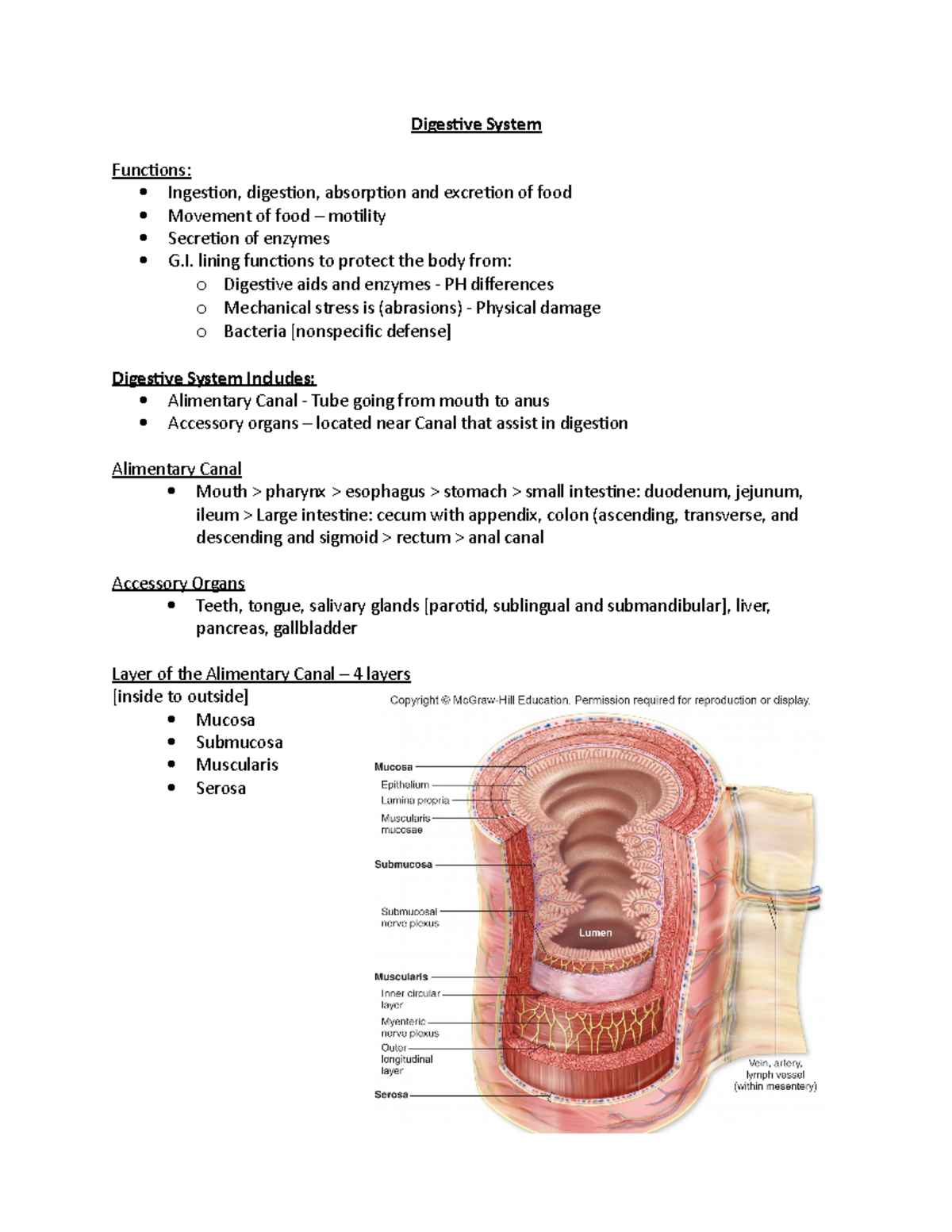 BIOL 111- Digestive System - Digestive System Functions: Ingestion ...