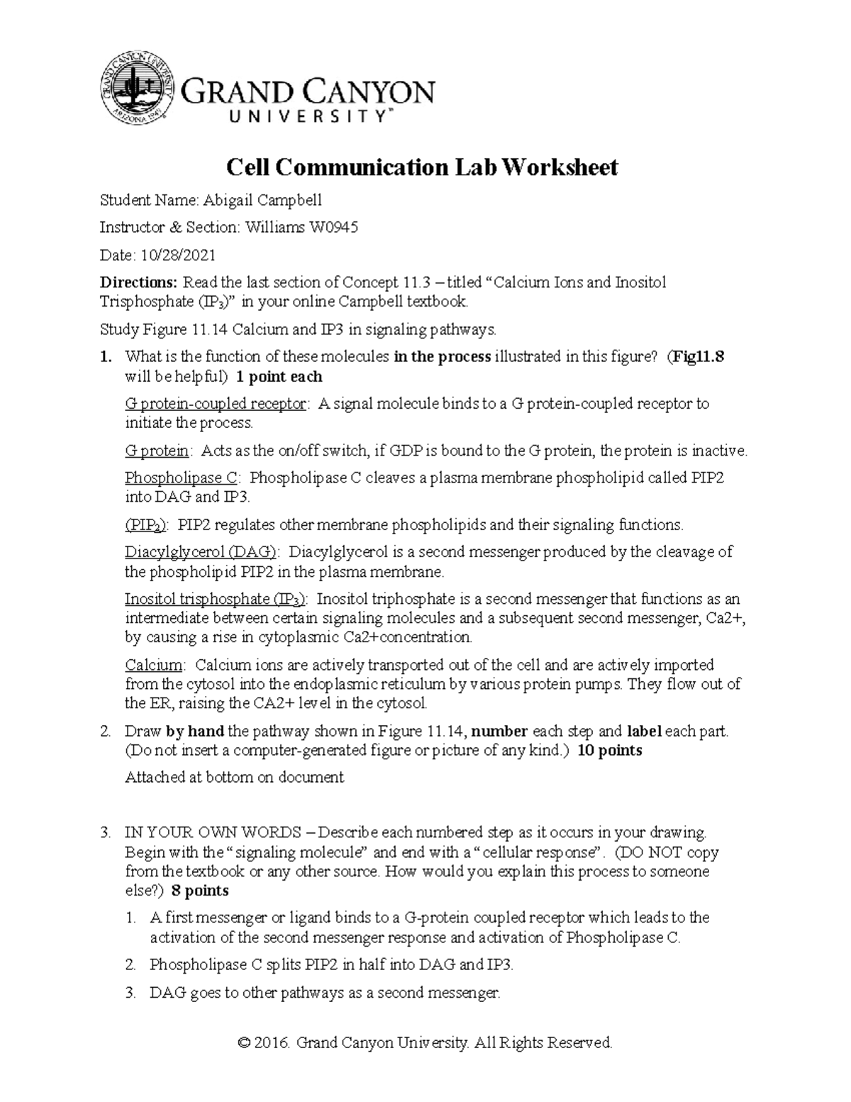 Cell Communication lab worksheet - Study Figure 11 Calcium and IP3 in ...