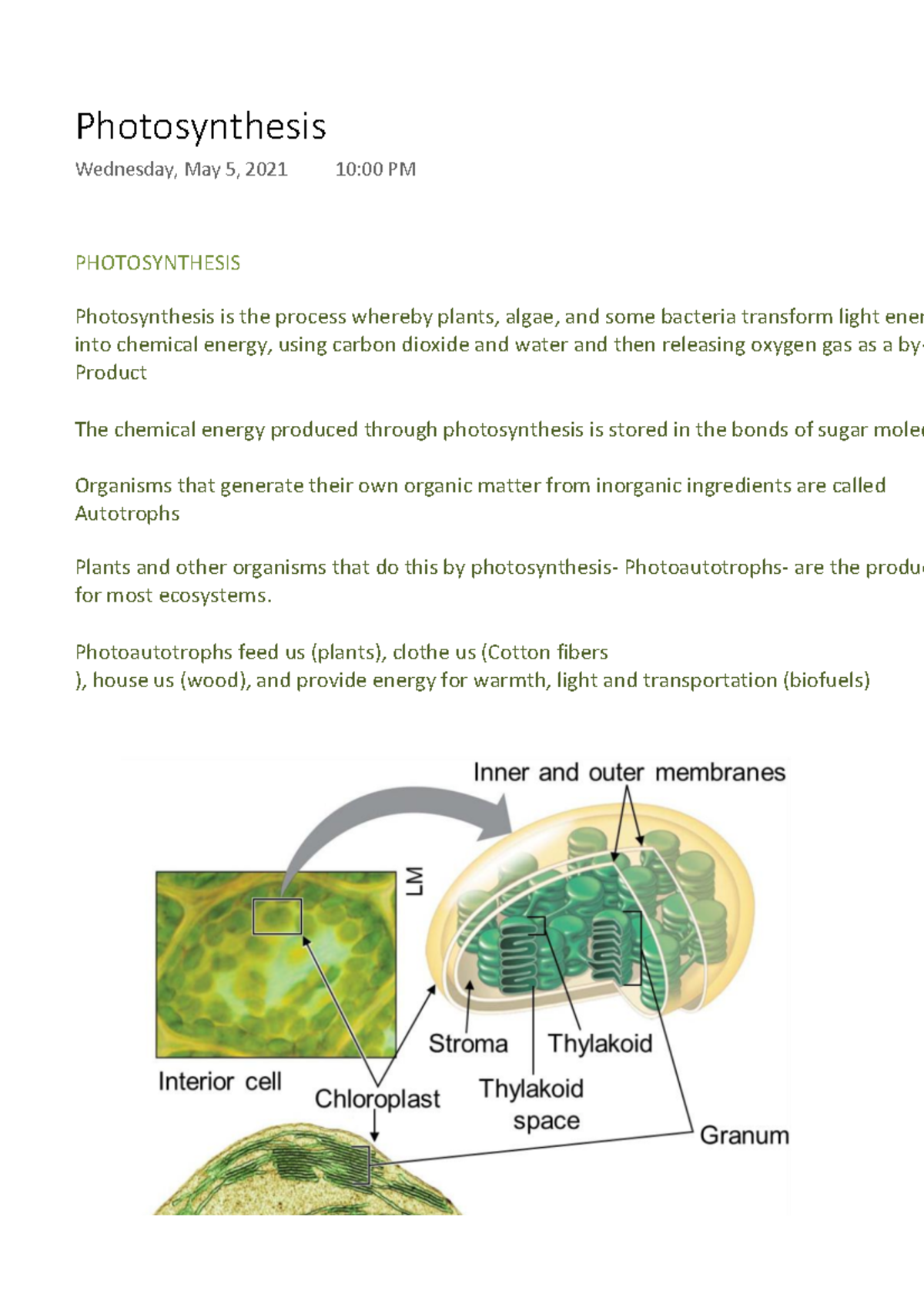 BIOL401 Photosynthesis L15 - PHOTOSYNTHESIS Photosynthesis is the ...