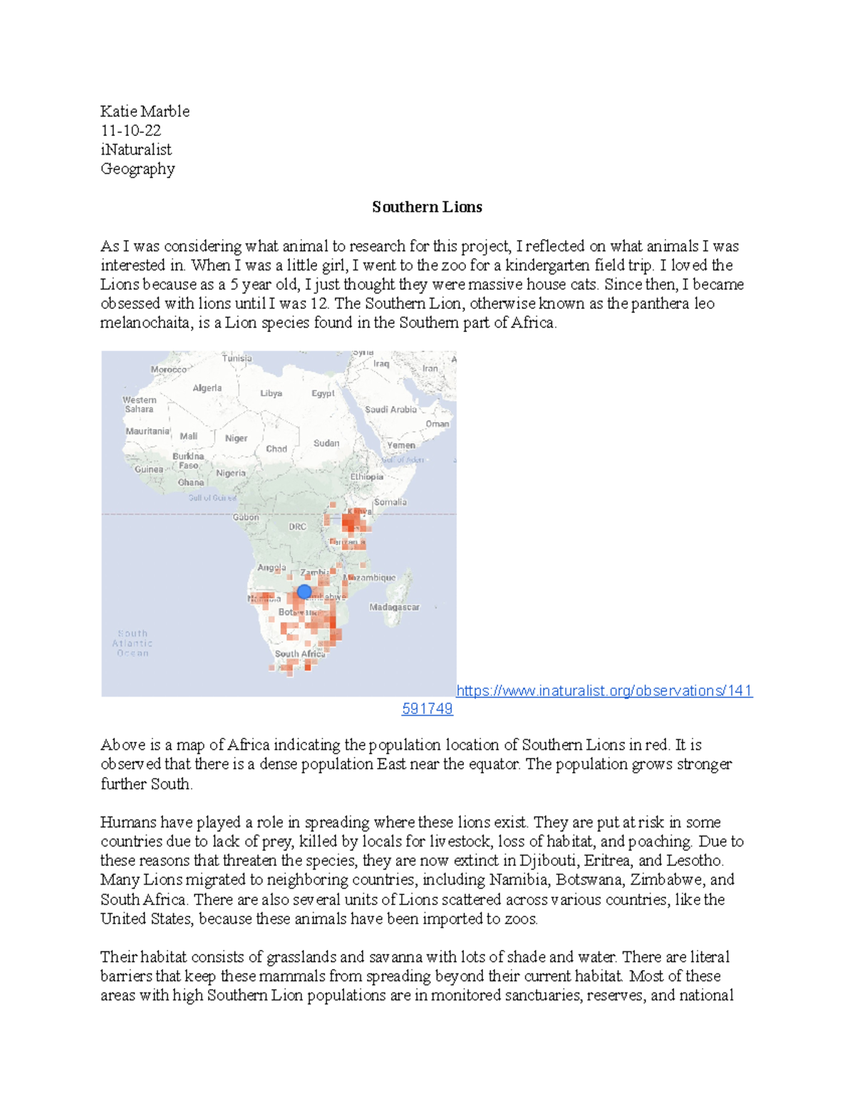 Lions - A required essay about a certain species. - Katie Marble 11-10 ...