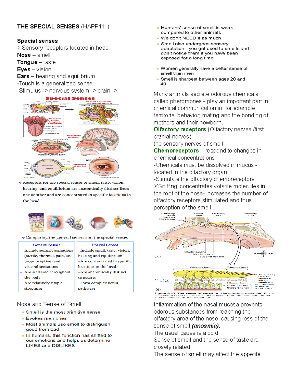 THE- Special- Senses - Lecture - THE SPECIAL SENSES (HAPP111) Special ...