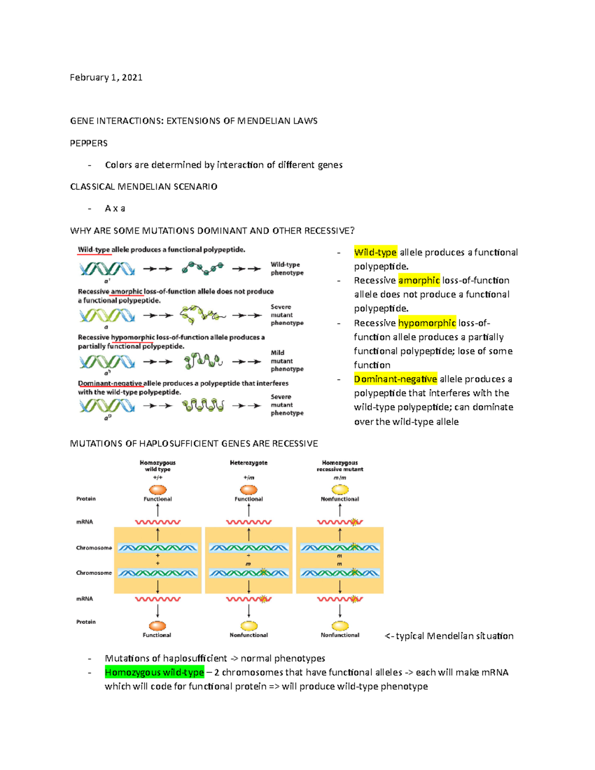 February 1 - Lecture Notes - February 1, 2021 GENE INTERACTIONS ...