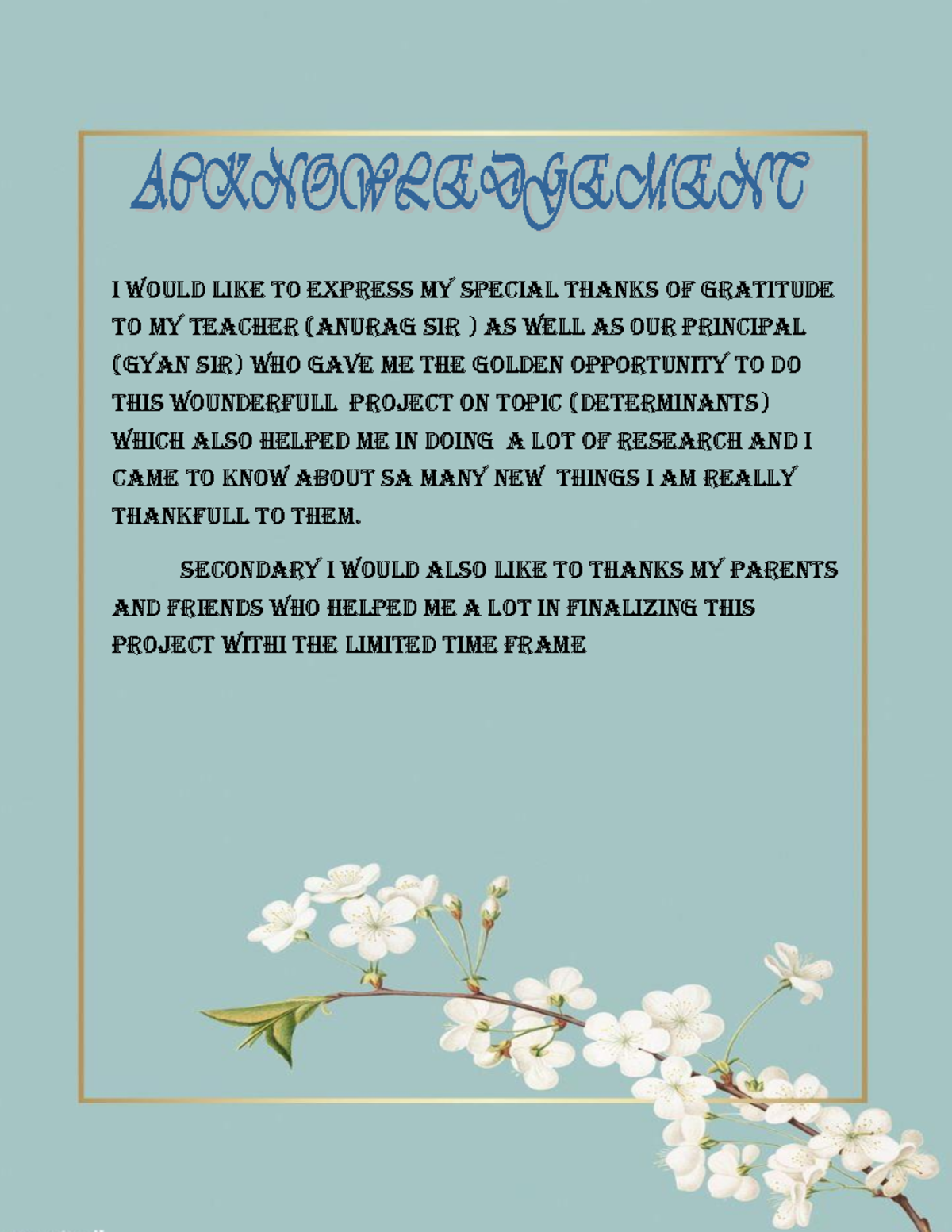 11 Acknowledgement - hi halo - Computer Science SL - I WOULD LIKE TO ...