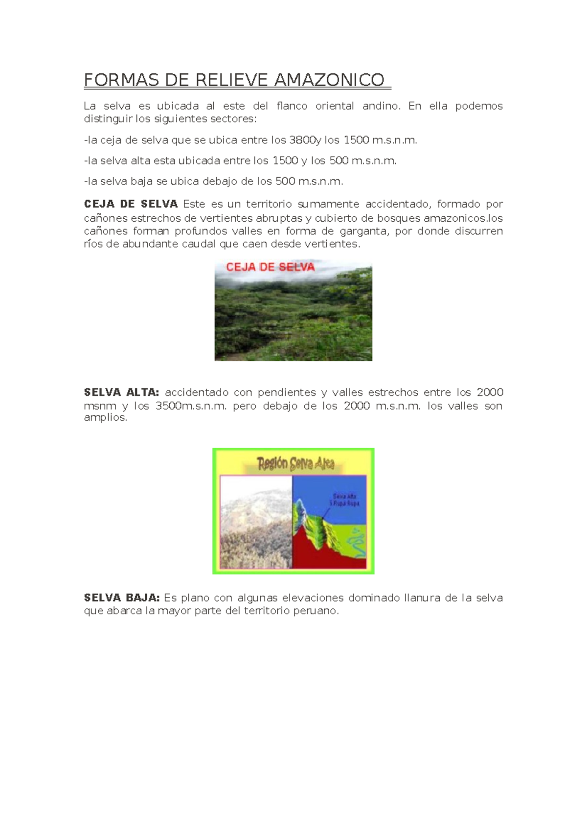 Formas DE Relieve Amazonico - FORMAS DE RELIEVE AMAZONICO La selva es ...