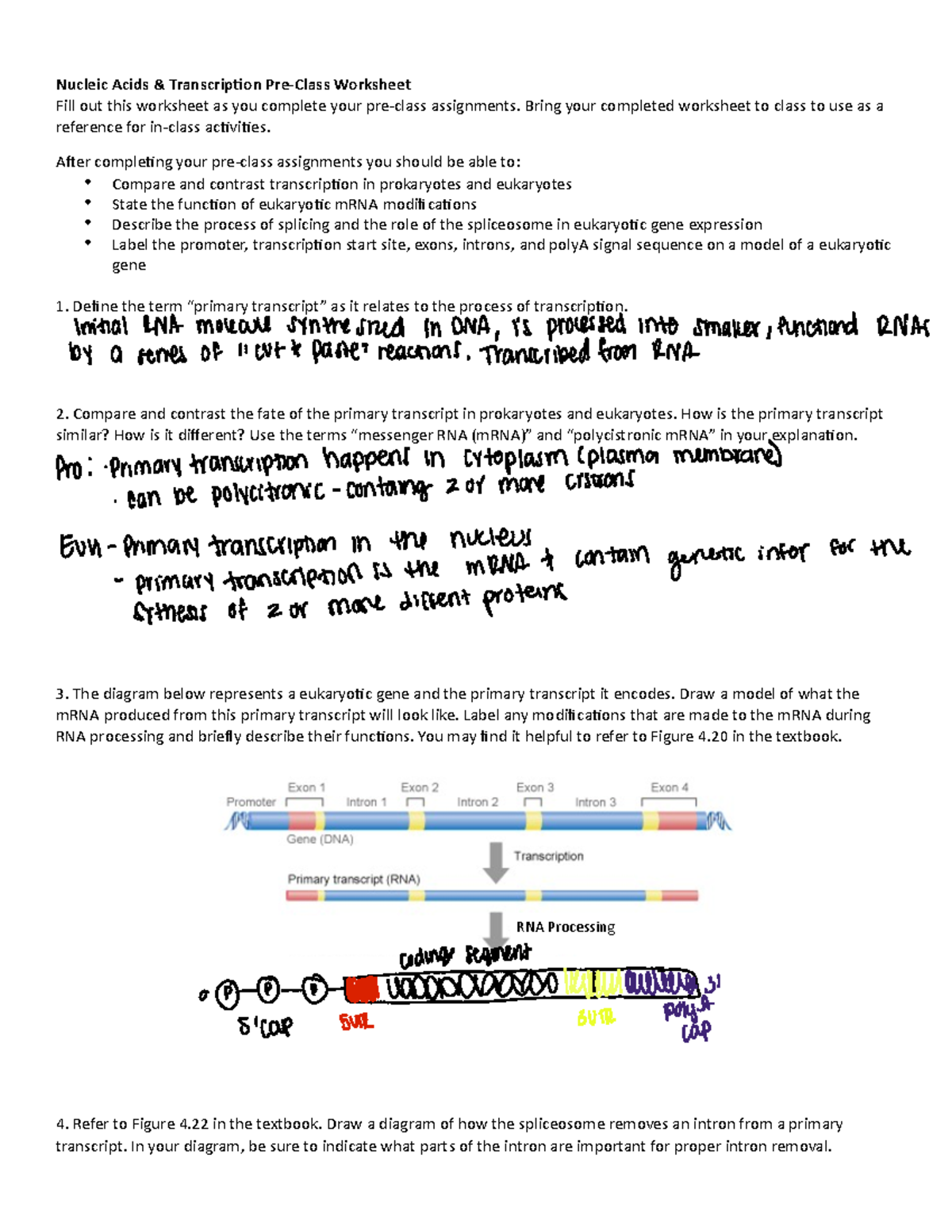Week 5b Transcription 2 - Nucleic Acids & Transcrip 1 on Pre-Class ...