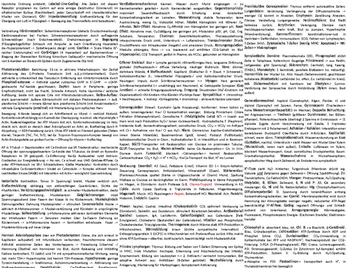 Zusammenfassung Kompakt Human Tier Pflanzen - räumliche Ordnung ...