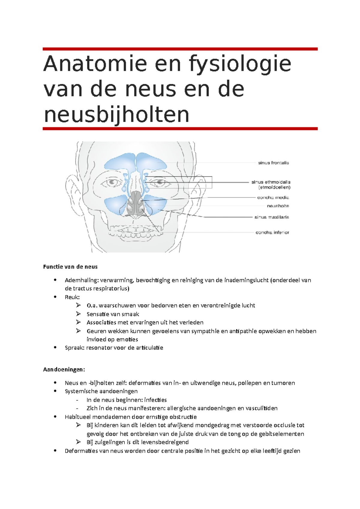Anatomie en fysiologie van de neus en de neusbijholten - Anatomie en ...