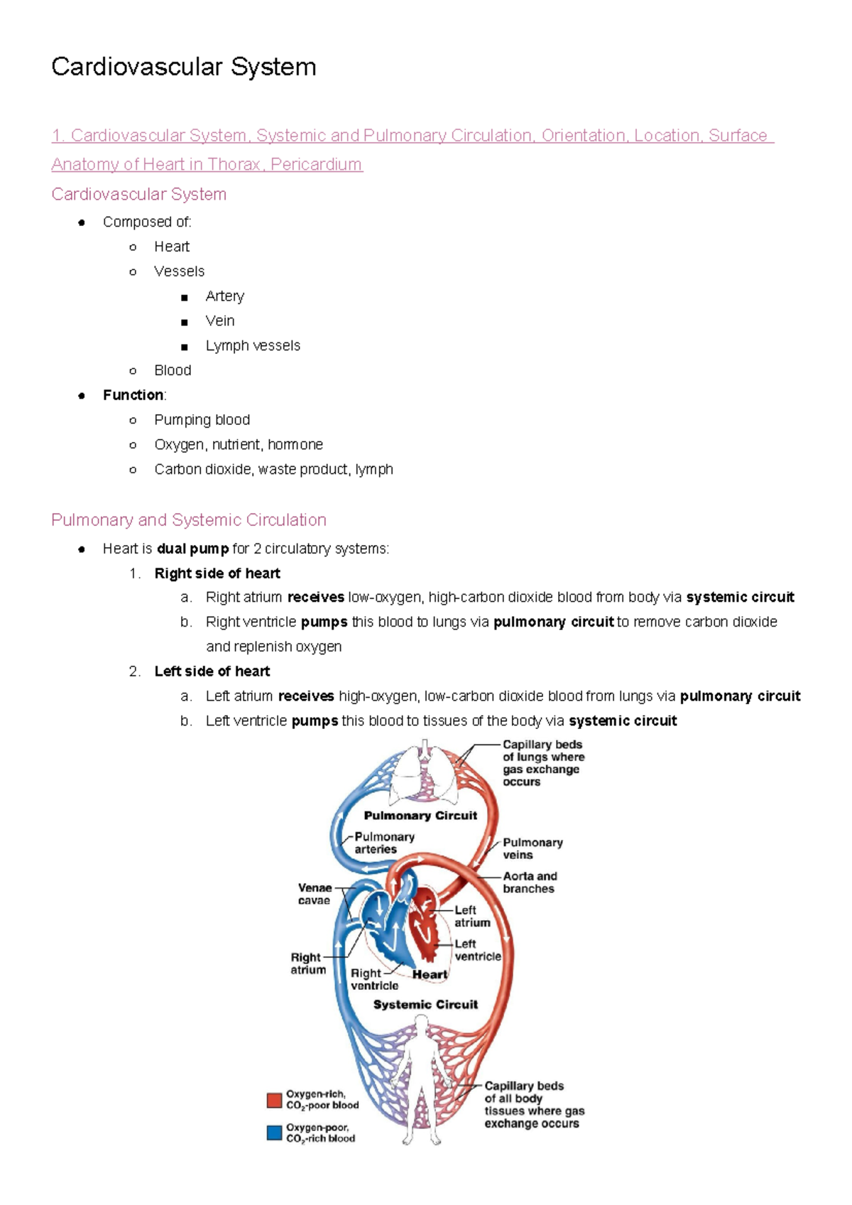 LEC3 Cardiovascular System - Cardiovascular System 1. Cardiovascular ...