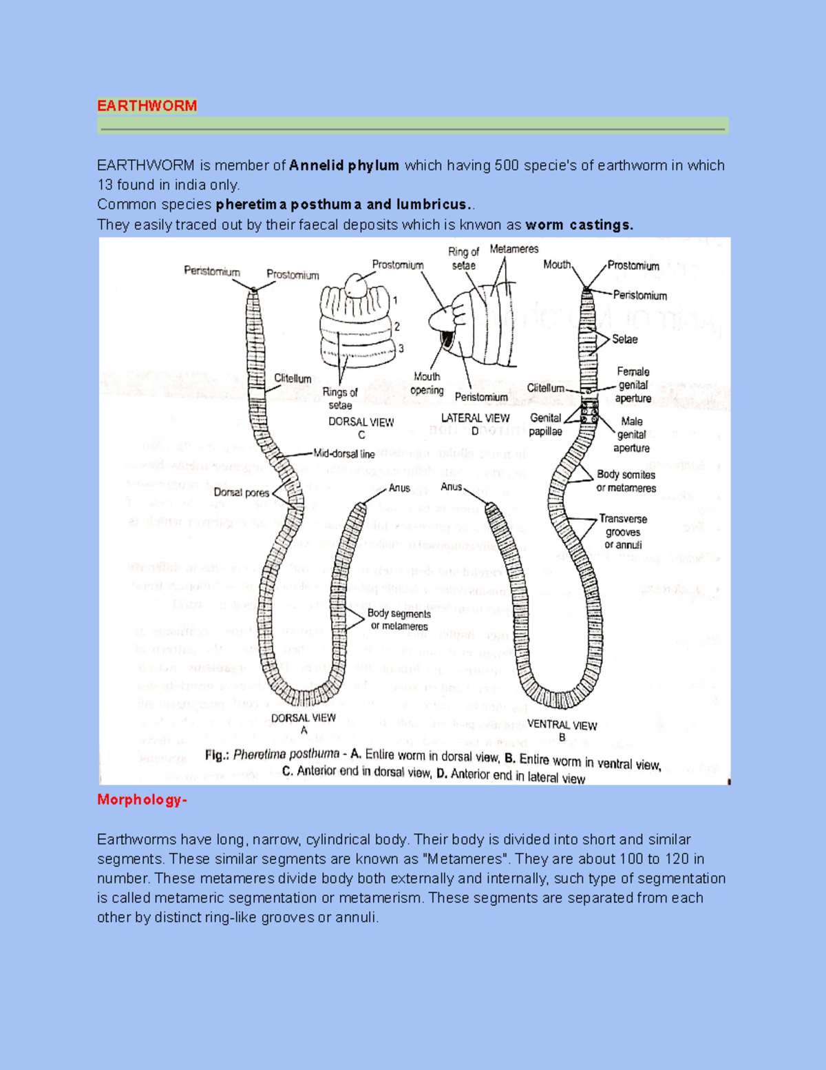 Earthworm with their system-1 - EARTHWORM EARTHWORM is member of ...