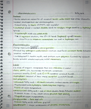 Enzymes - Enzyme basics, properties, about inhibitors - BY-1113-201 - Studocu