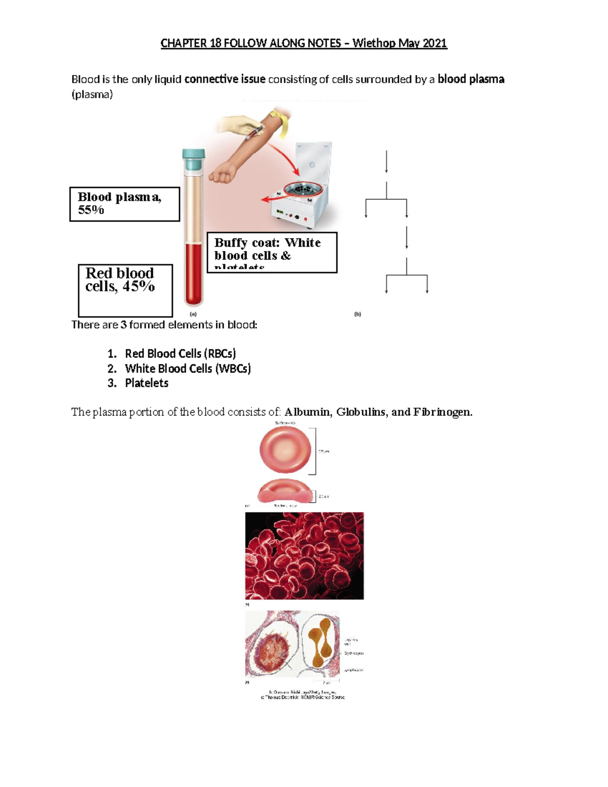 Assignment CH 18 Wk 1 FAN Mc Graw Hill - Blood is the only liquid ...
