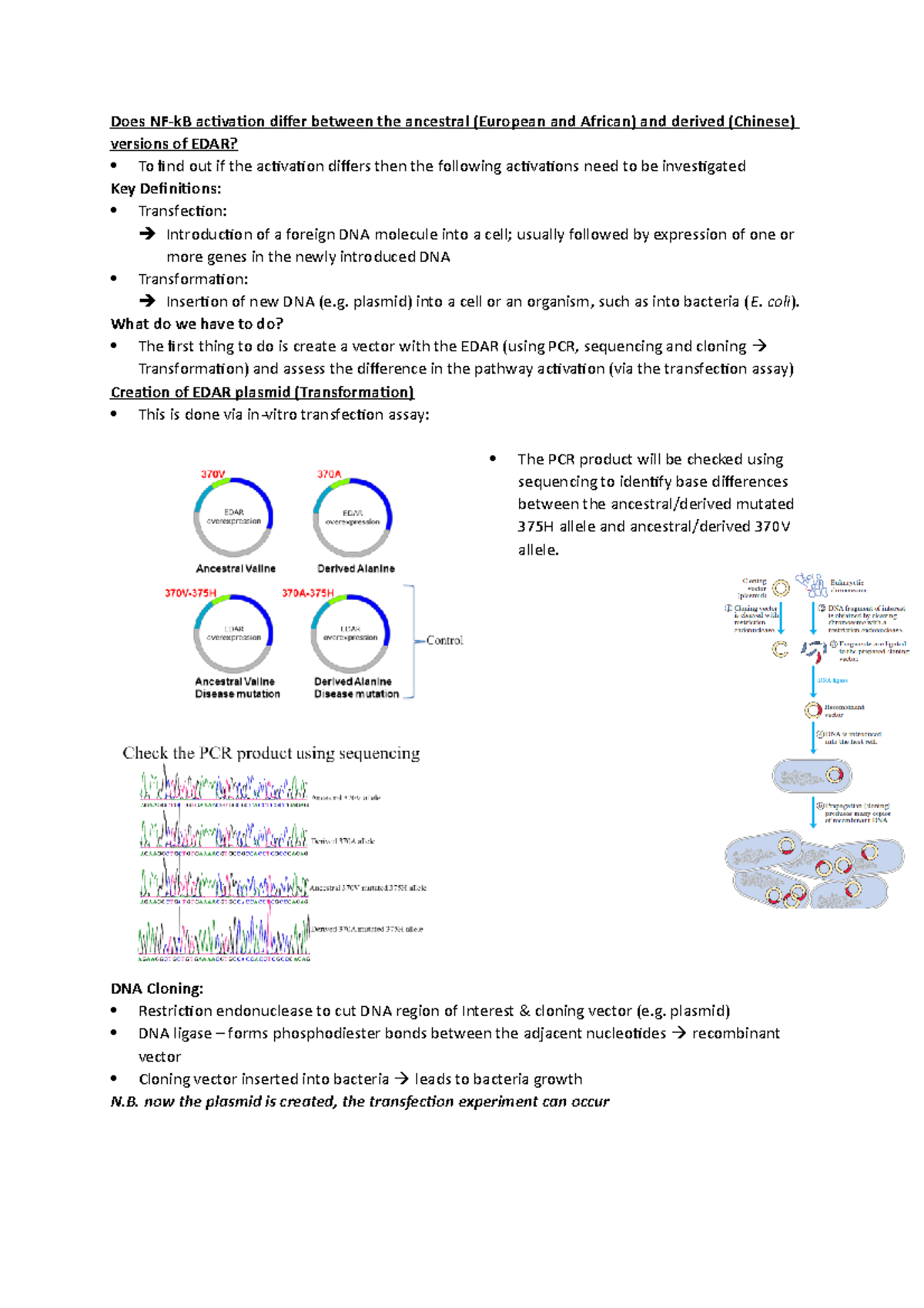 Does NF - Lecture notes Does NF - Does NF-kB activation differ between ...