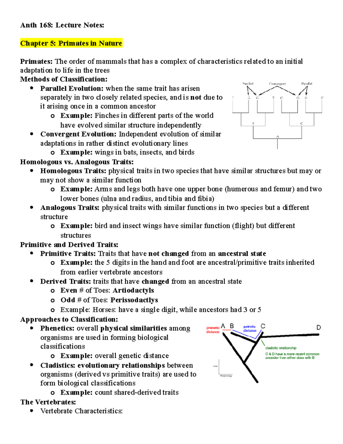 Anth 168 EXAM 2- Lecture Notes - Anth 168: Lecture Notes: Chapter 5 ...