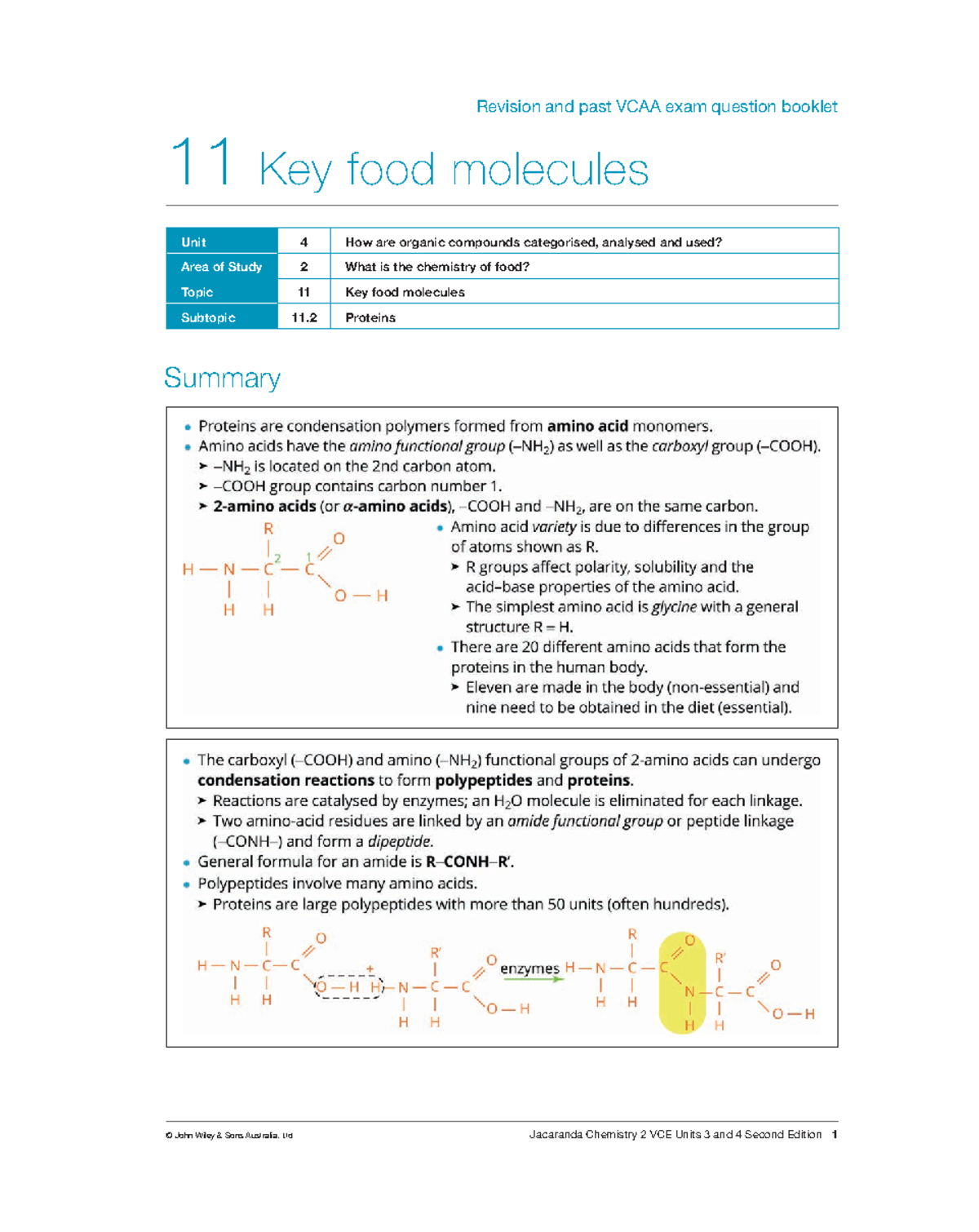 C11Key Food Molecules Summary Booklet Questions - Revision and past ...