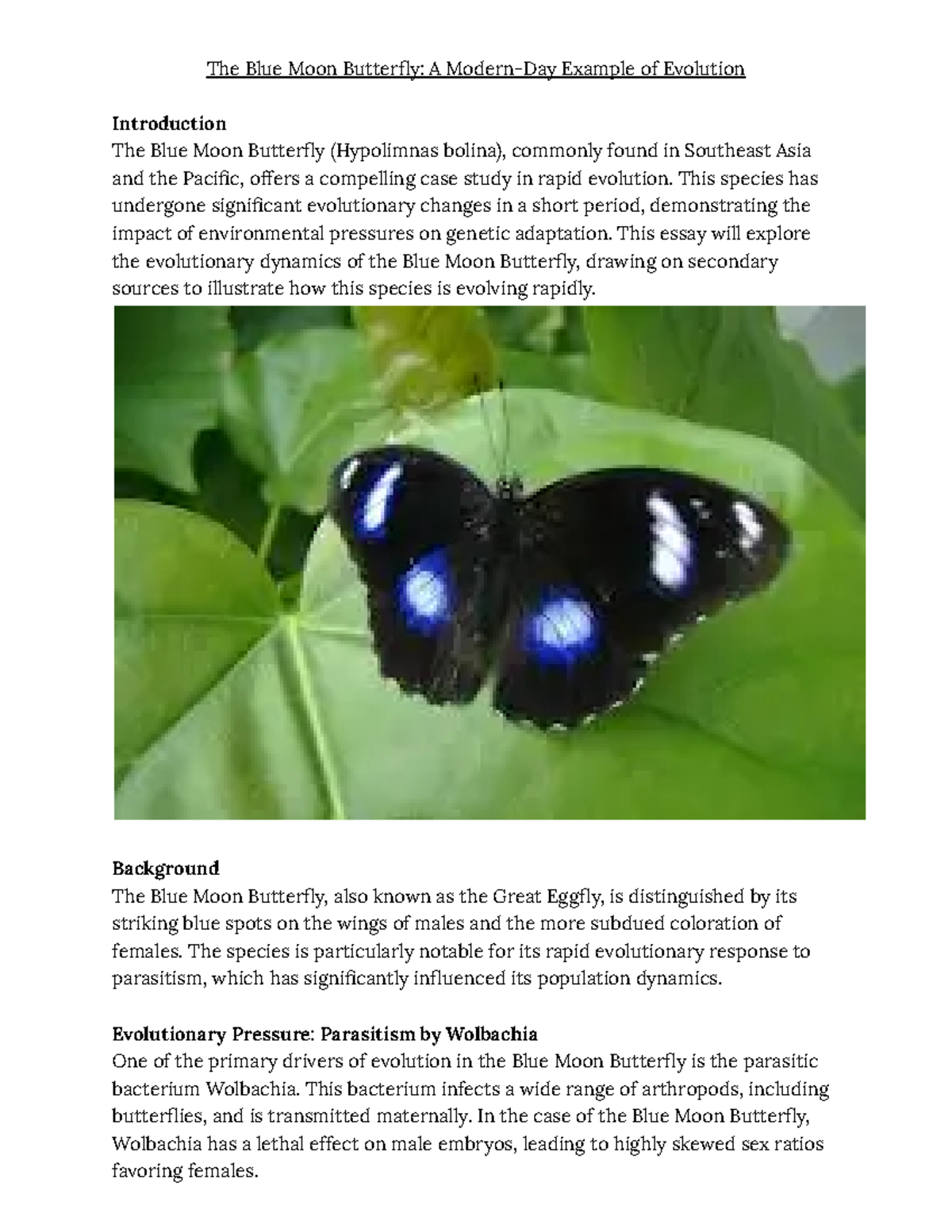 3.9 - Modern-day Examples of Evolution - The Blue Moon Butterfly: A ...