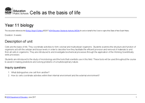 Biology Module 1 Revision Sheet - Biology Revision Sheet Prokaryotic ...