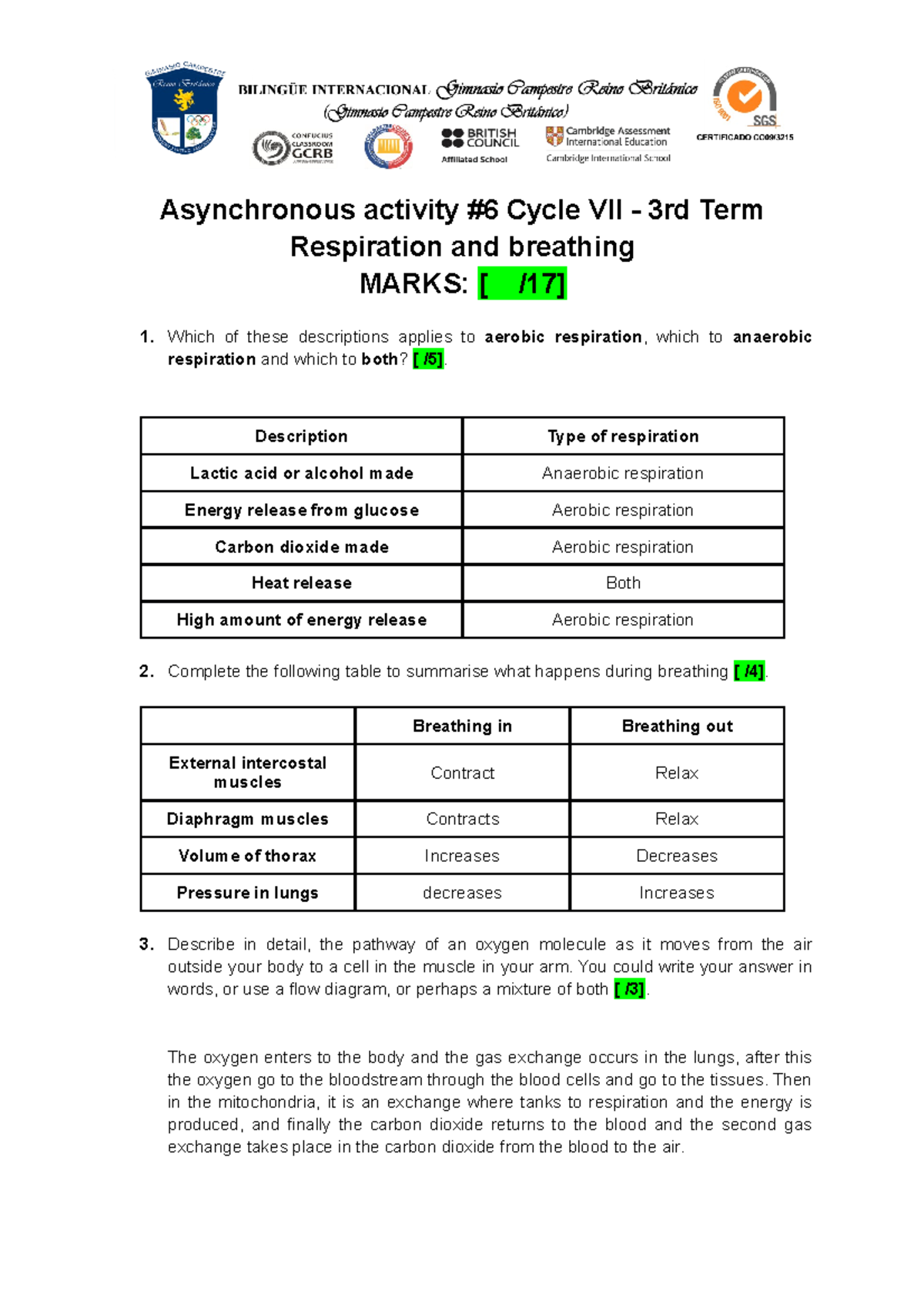 Cesar Soba - Asynchronous activity #6 Cycle VII - 3rd Term Respiration ...