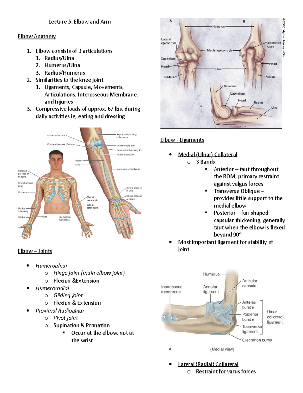 Week 5 Elbow Lecture Notes - HLSC3475 - Ontario Tech University - Studocu