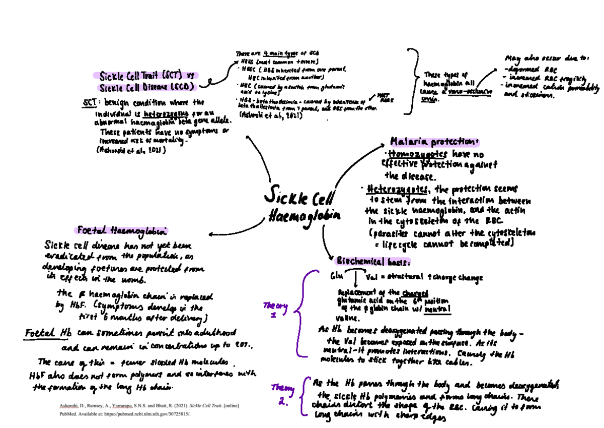 Sickle cell 1 - There ar maintypes of SCD HBSS (most common severe may ...