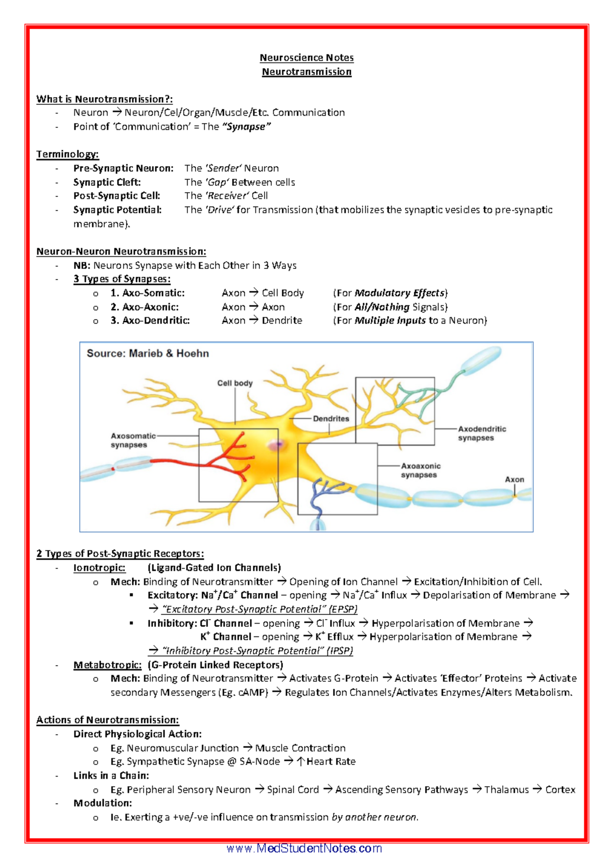 A&P - 3. Neurotransmission (10p) - Week 3 Neuroscience Notes ...