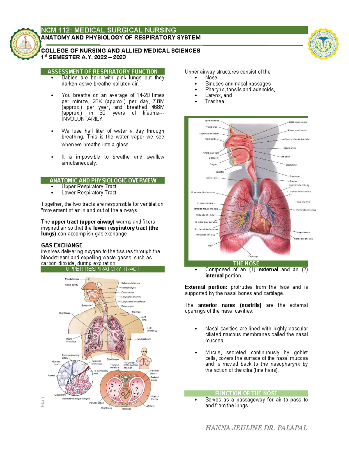Ms trans anaphy respi - ANATOMY AND PHYSIOLOGY OF RESPIRATORY SYSTEM ...