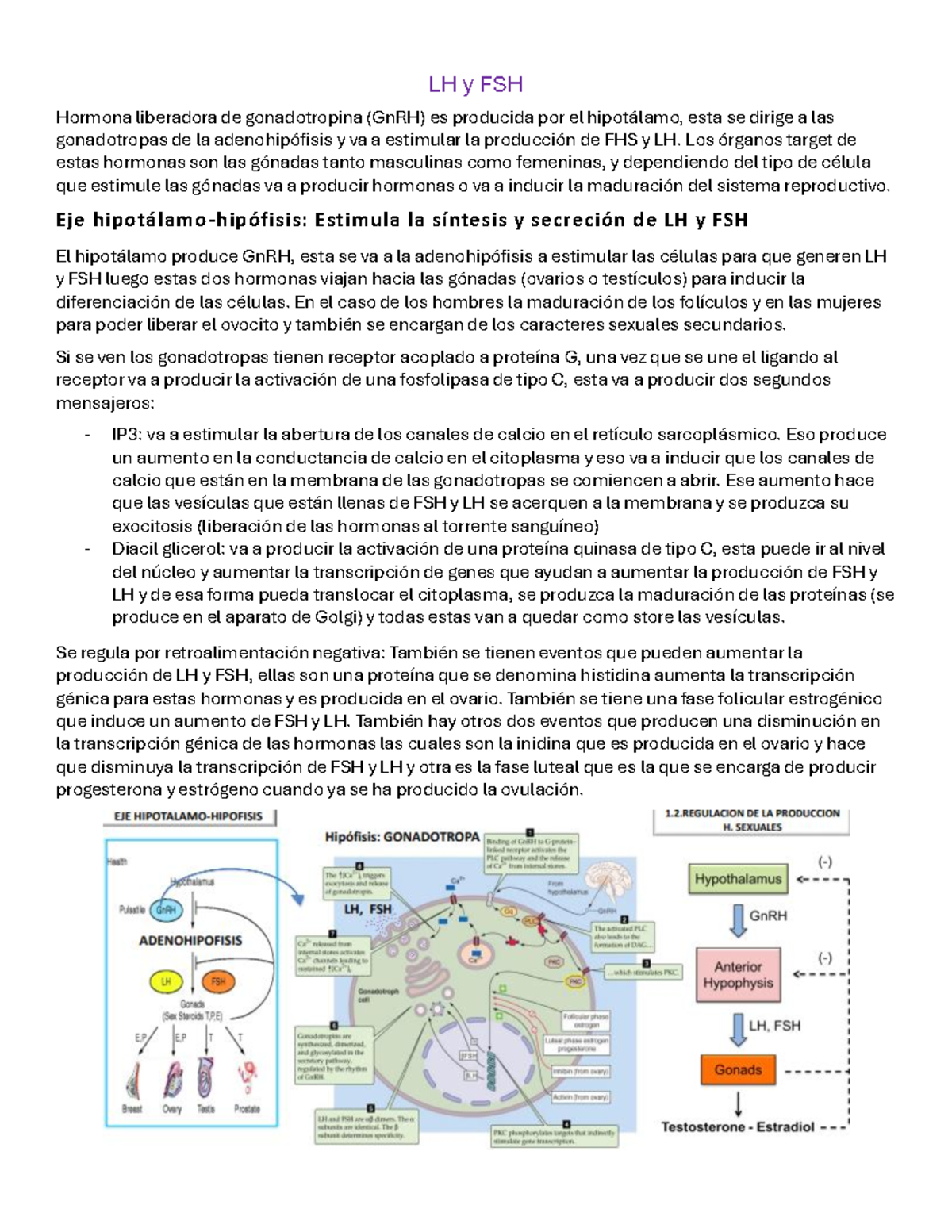 LH y FSH fisiologia - LH y FSH Hormona liberadora de gonadotropina (GnRH) es producida por el ...