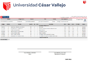 AÑO DEL Bicentanio - trabajo - “AÑO DEL BICENTANIO, DE LA CONSOLIDACION ...