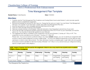 Ren Time Management Plan - NR513 Professional Role Enhancement Time ...