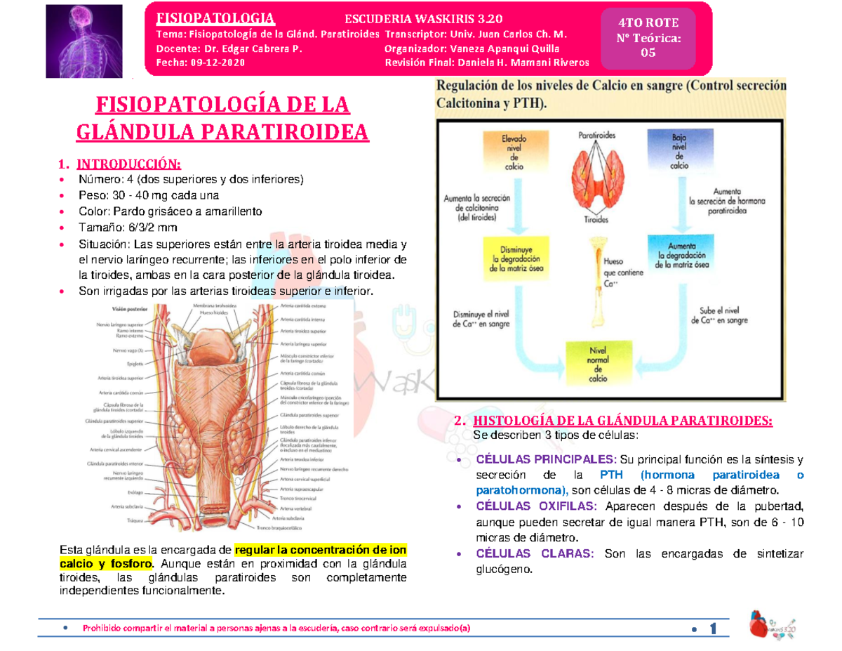R4-05-FSP- Glándula Paratiroides - Tema: FisiopatologÍa de la Glánd ...