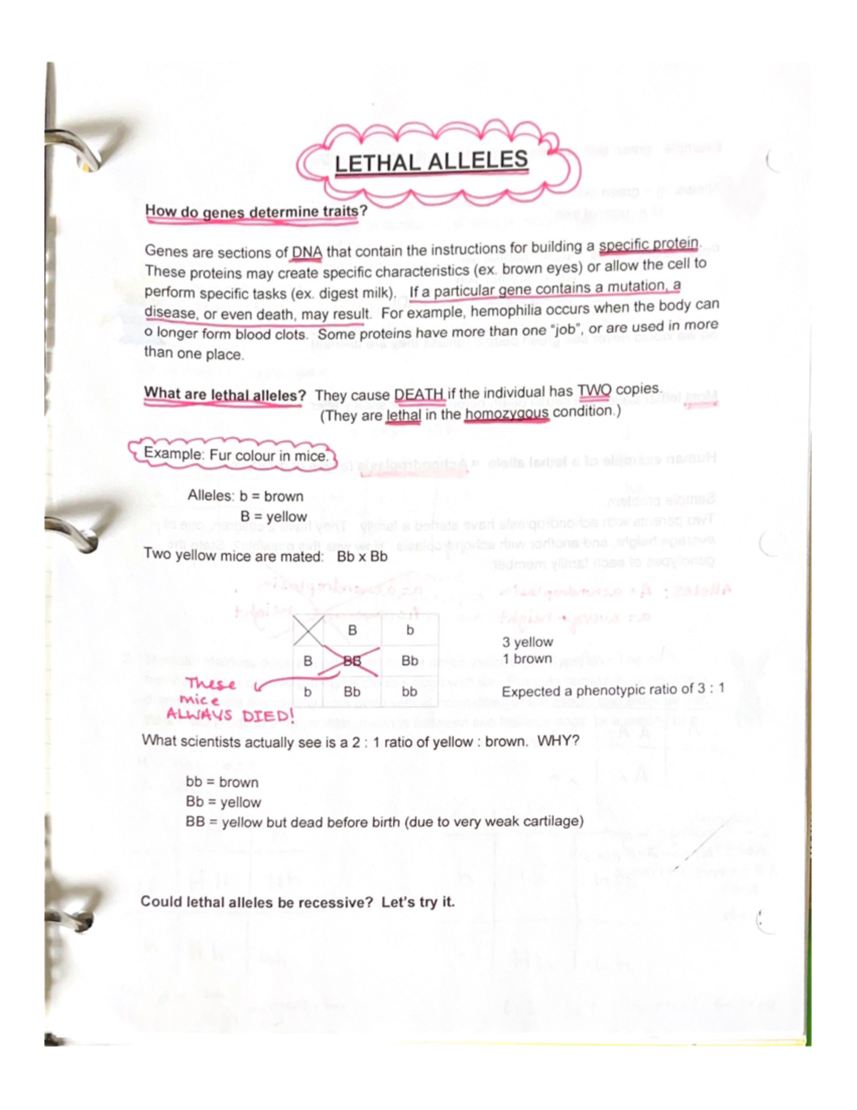 Lethal Alleles - Studocu