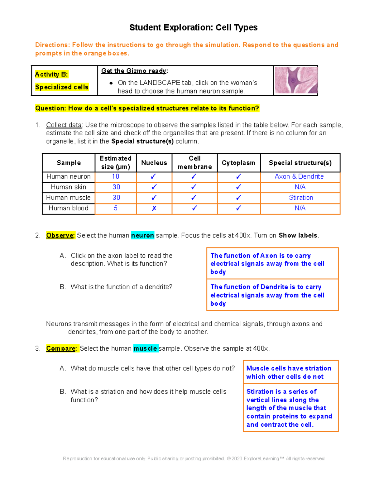 Conor Guiney - 03.22 BIO, C1 Cell Types (Part B) Cell Specialization ...