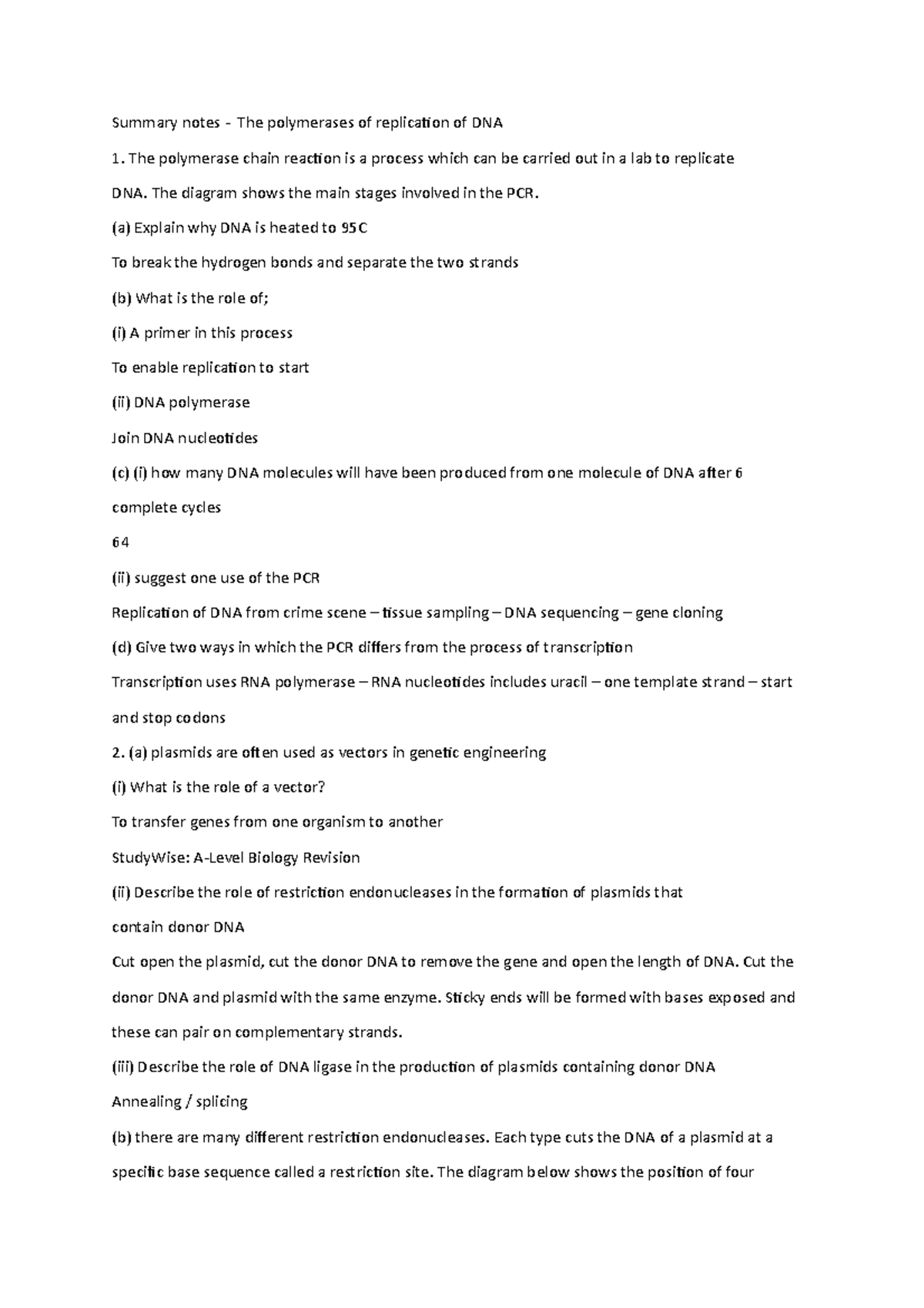 Summary notes - The polymerases of replication of DNA - The diagram ...