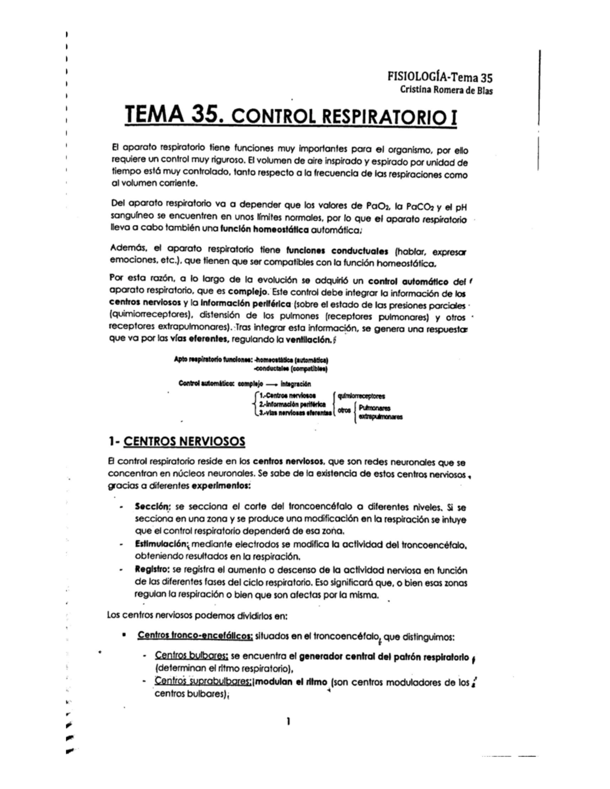 TEMA 44. Control Respiratorio pdf - Fisiología Humana I - Studocu