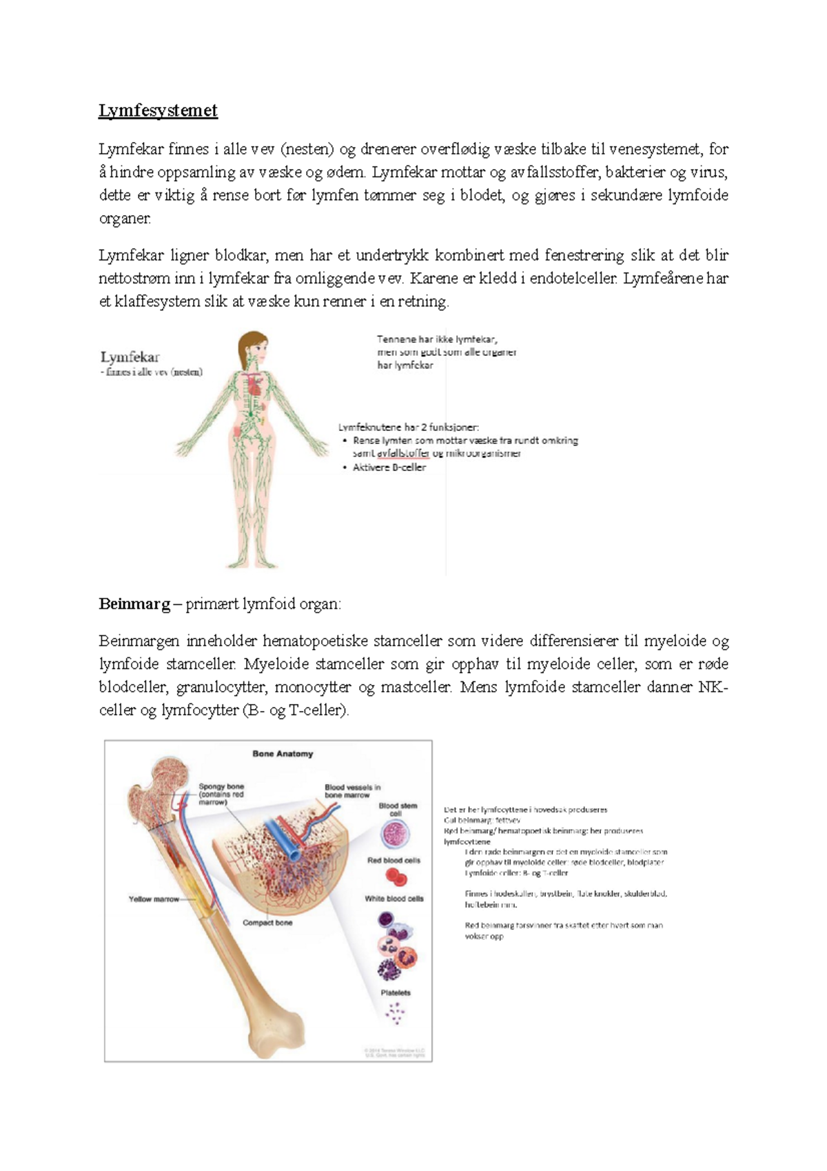 Lymfesystemet - notater - Lymfesystemet Lymfekar finnes i alle vev ...