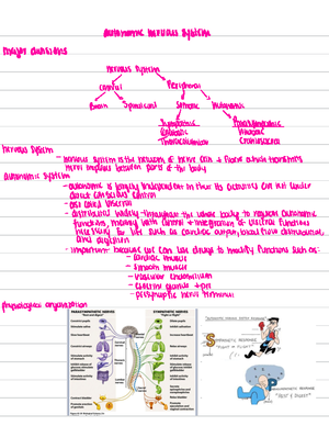 Endocrine Virtual Rats Lab 9 - ####### Virtual Rat Endocrine Activity ...