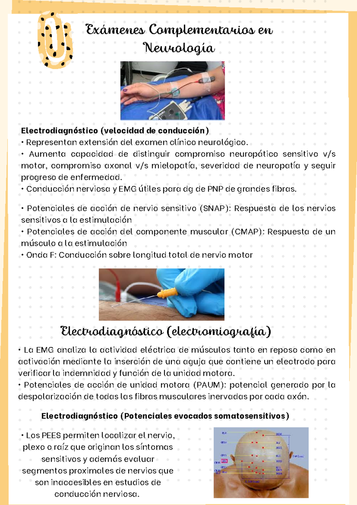 Exámenes Complementarios en Neurología - Exámenes Complementarios en ...