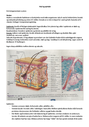 Cafetimer- Ligevægt og p H - Leder af kursus i Cellens Kemiske ...