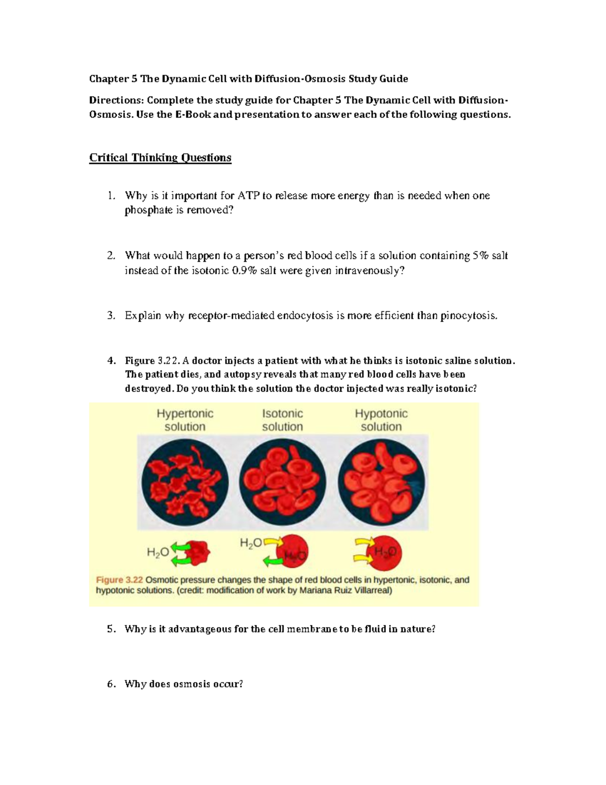 Noah Chambers Stephens - Chapter 5 The Dynamic Cell with Diffusion ...