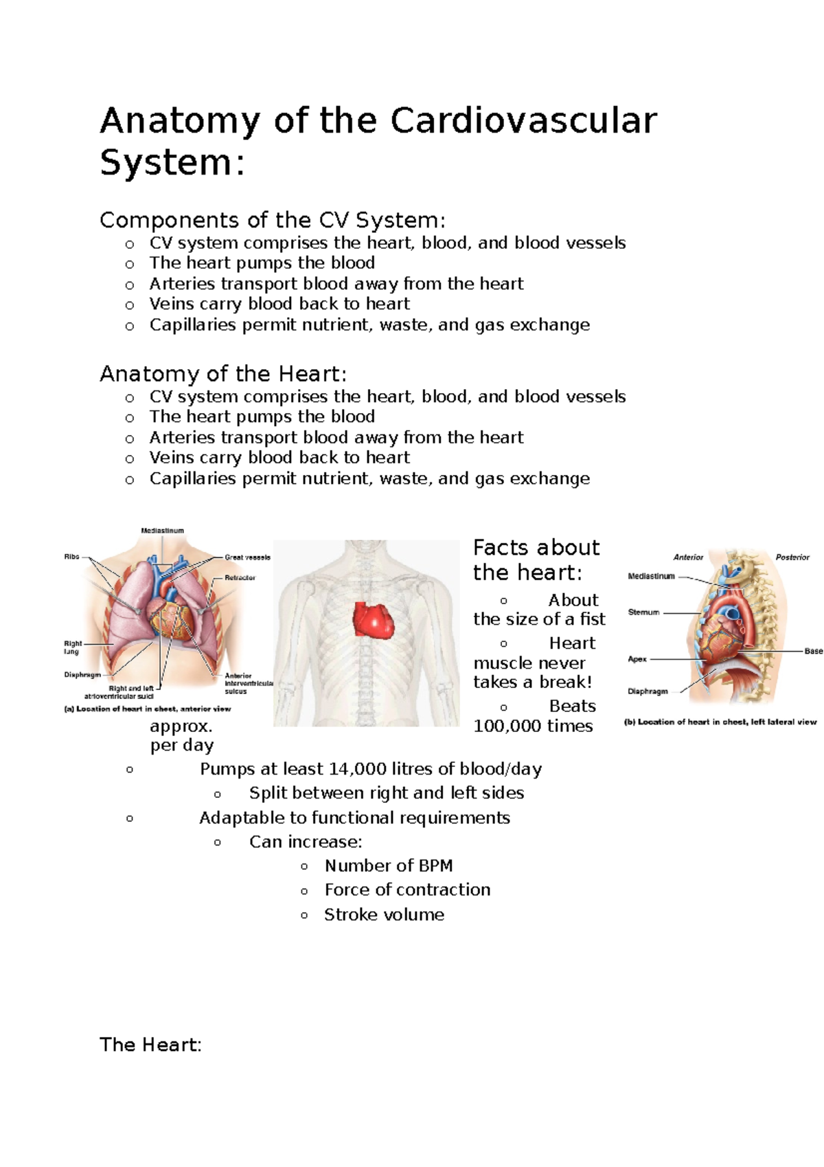 HUBS1401 - Topic - Anatomy of the Cardiovascular System - Anatomy of ...