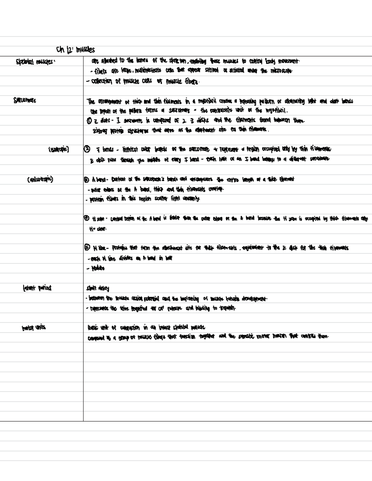 Untitled Notebook - Dr.Alassal - Ch12:muscles Skeletal muscles: are attached to the bones of the ...