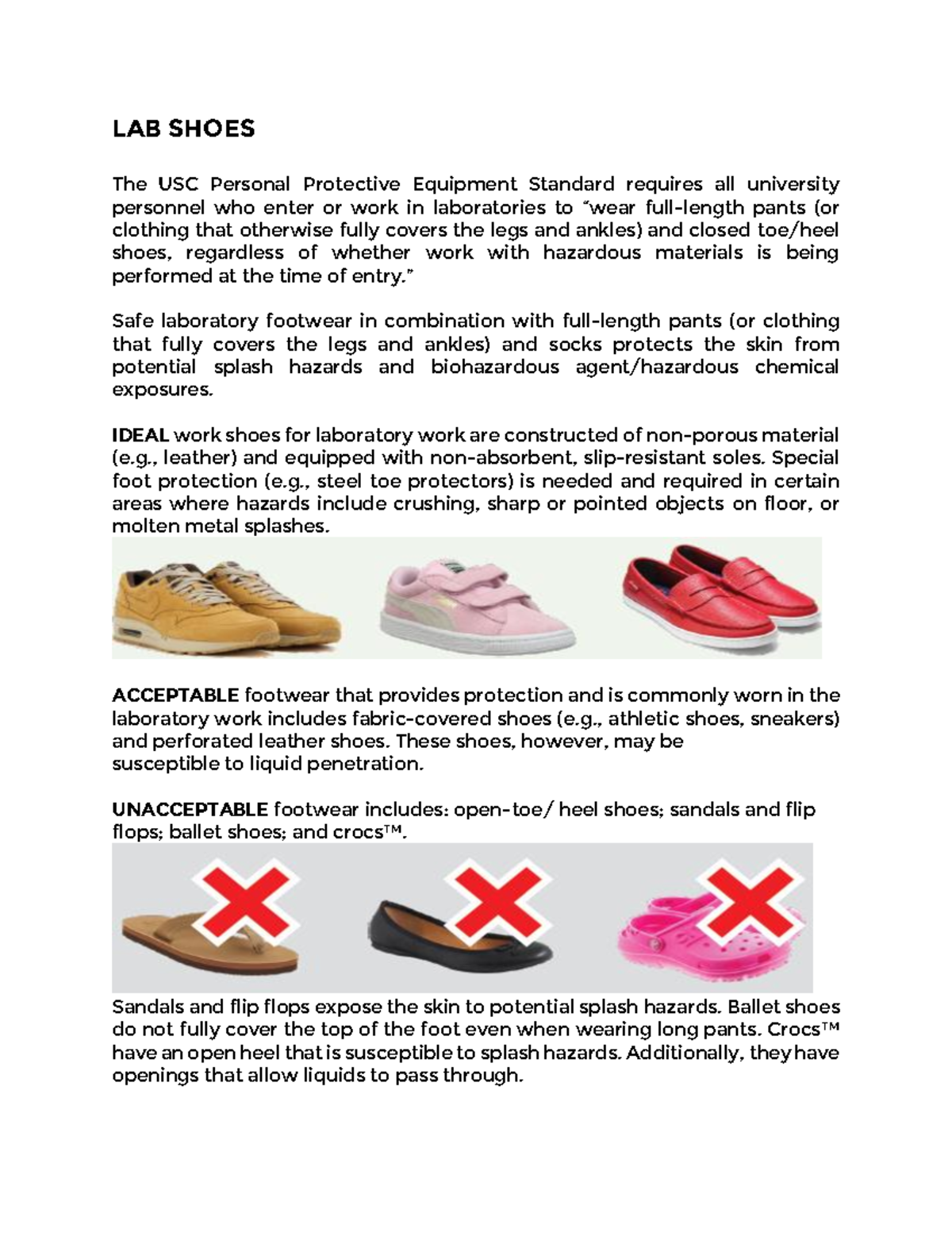Laboratory Personal Protective Equipment - LAB SHOES The USC Personal ...