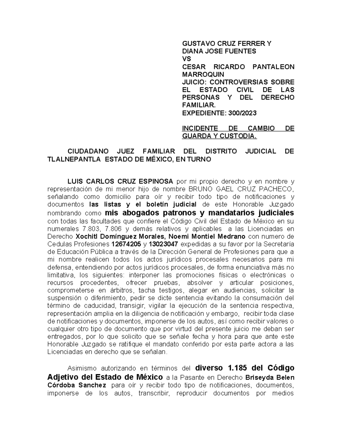 Incidente DE Cambio DE Guarda Y Custodia - GUSTAVO CRUZ FERRER Y DIANA ...